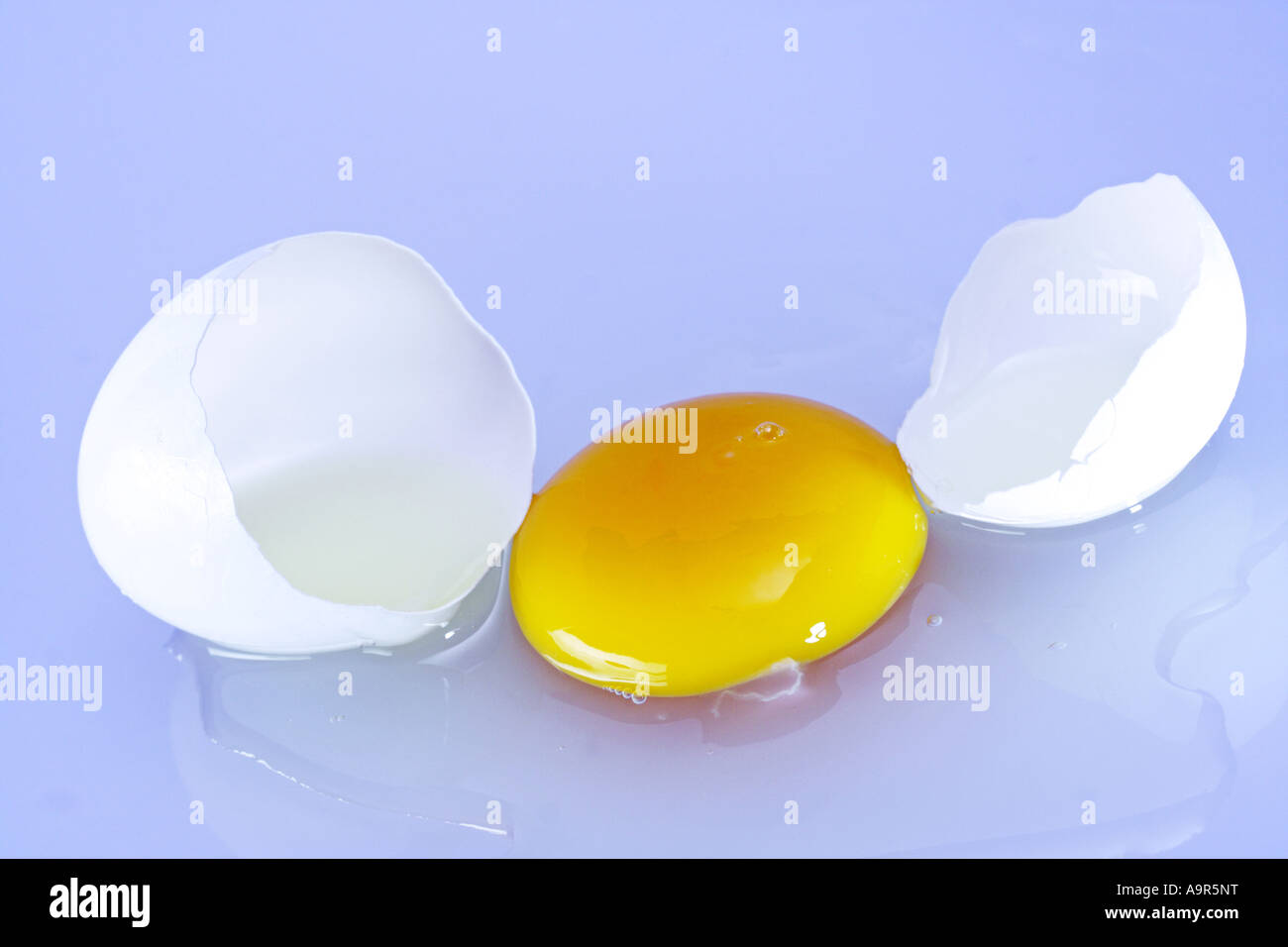 Close up of a broken egg on a plate Stock Photo - Alamy