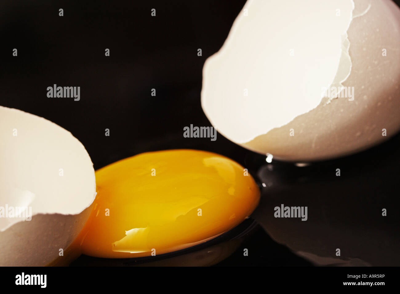 Close up of a broken egg Stock Photo - Alamy