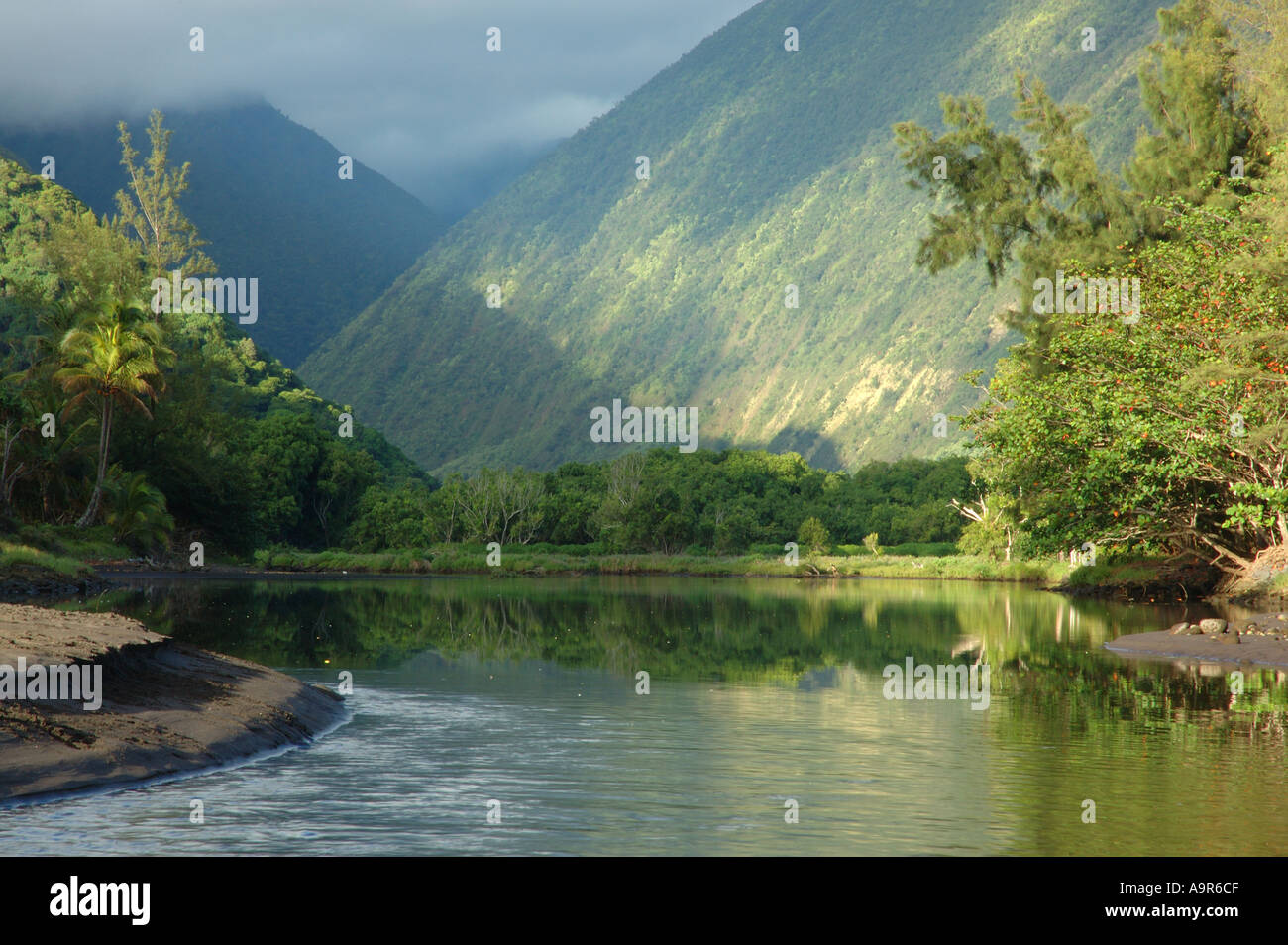 Waipio valley waterfall hi-res stock photography and images - Alamy