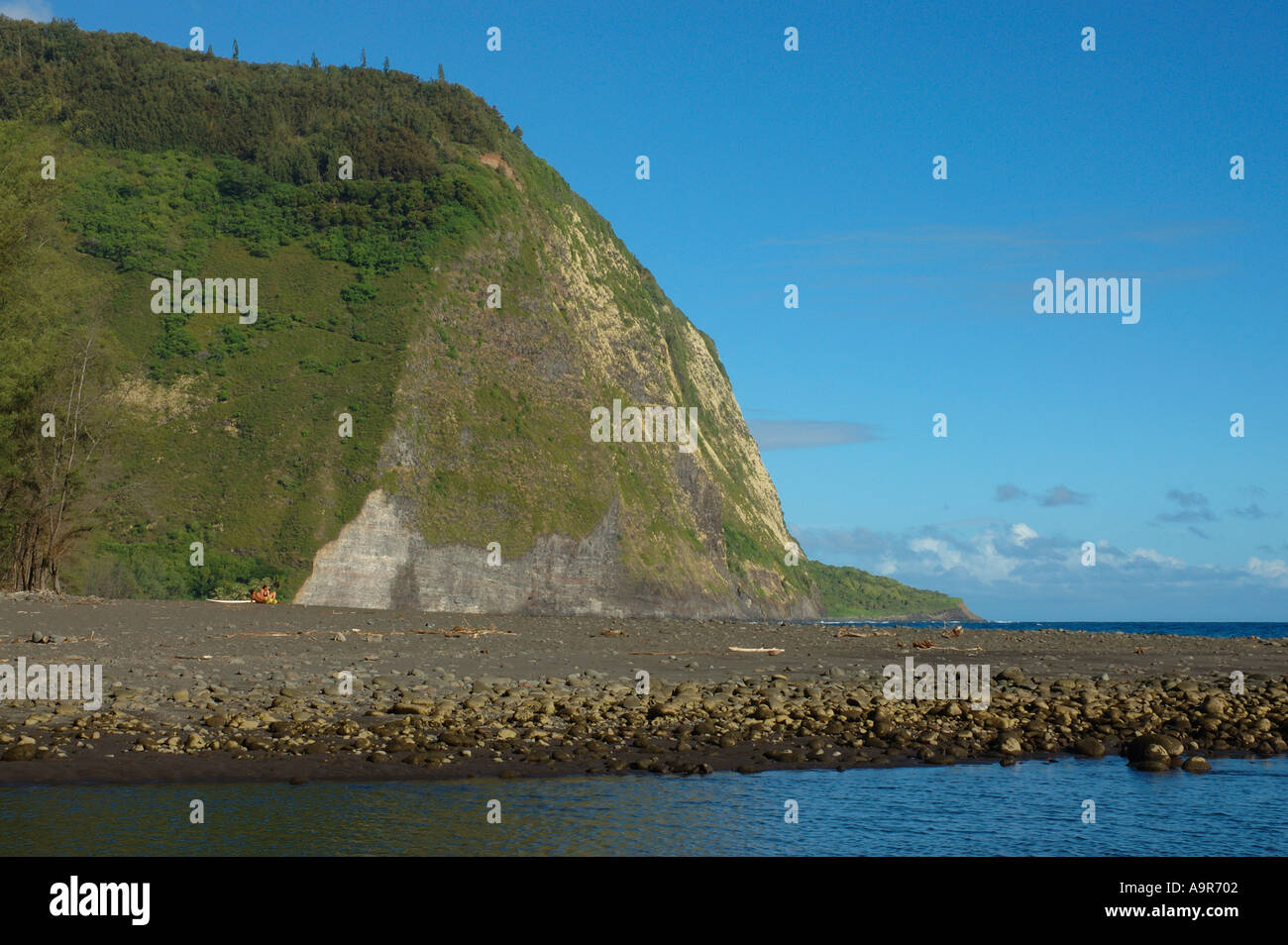 Waipio valley and surfers relaxing on the beach The Big Island of ...