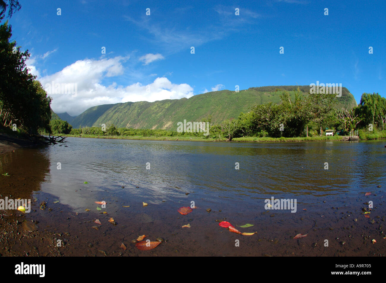 Waipio valley waterfall hi-res stock photography and images - Alamy