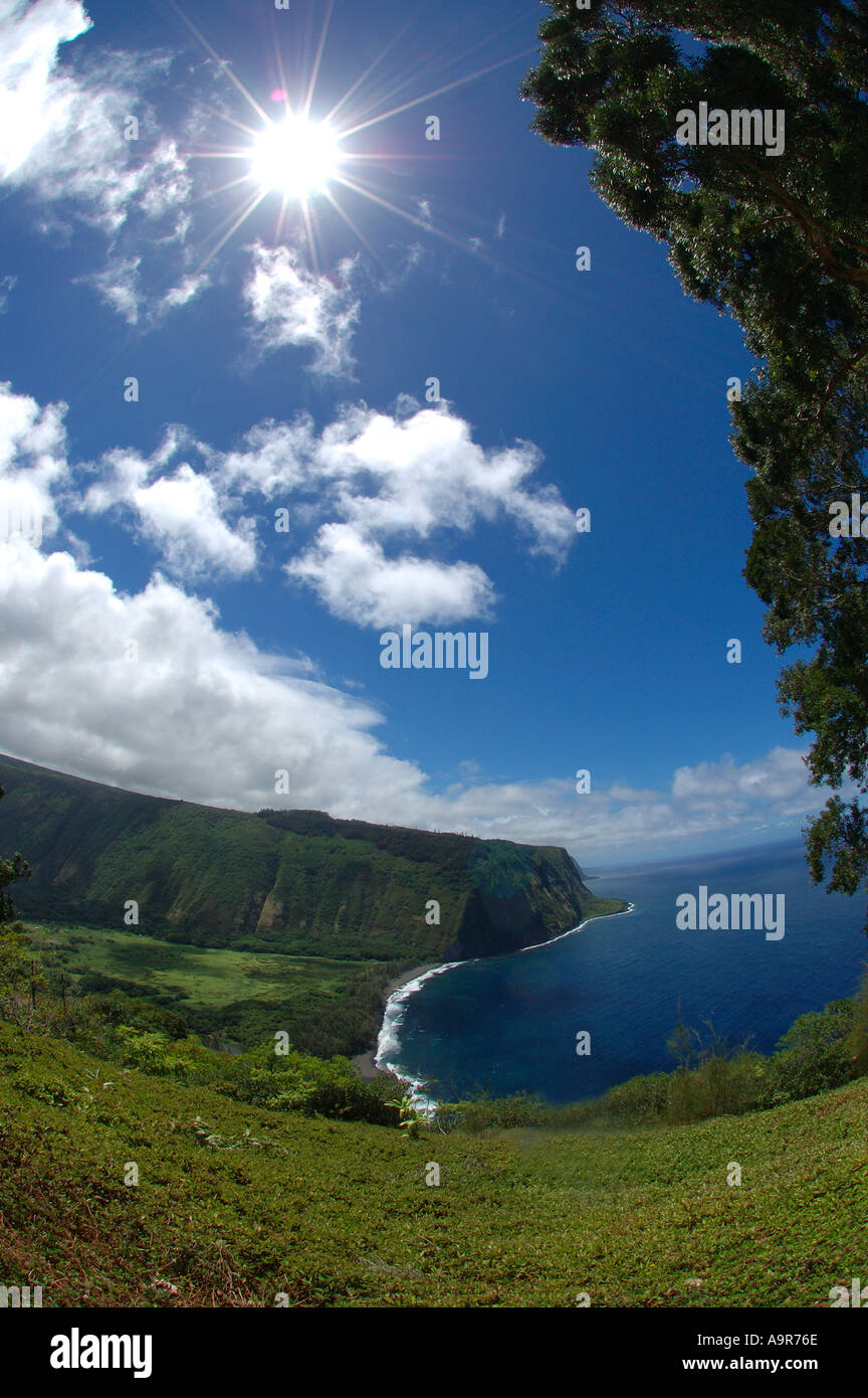 Waipio valley scenic viewpoint The Big Island of Hawaii Stock Photo - Alamy