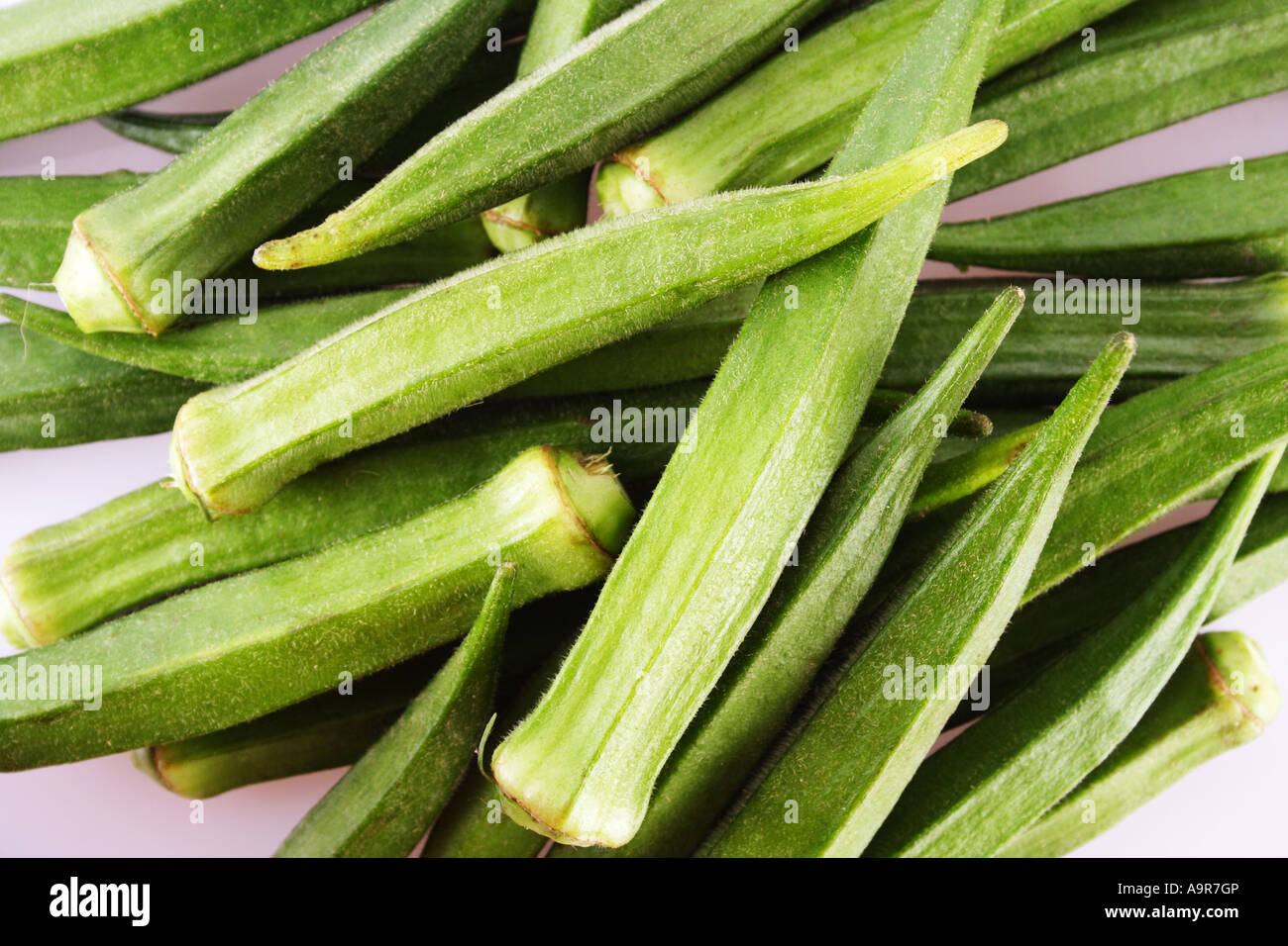Ladies Finger Vegetable Stock Photos & Ladies Finger Vegetable Stock ...