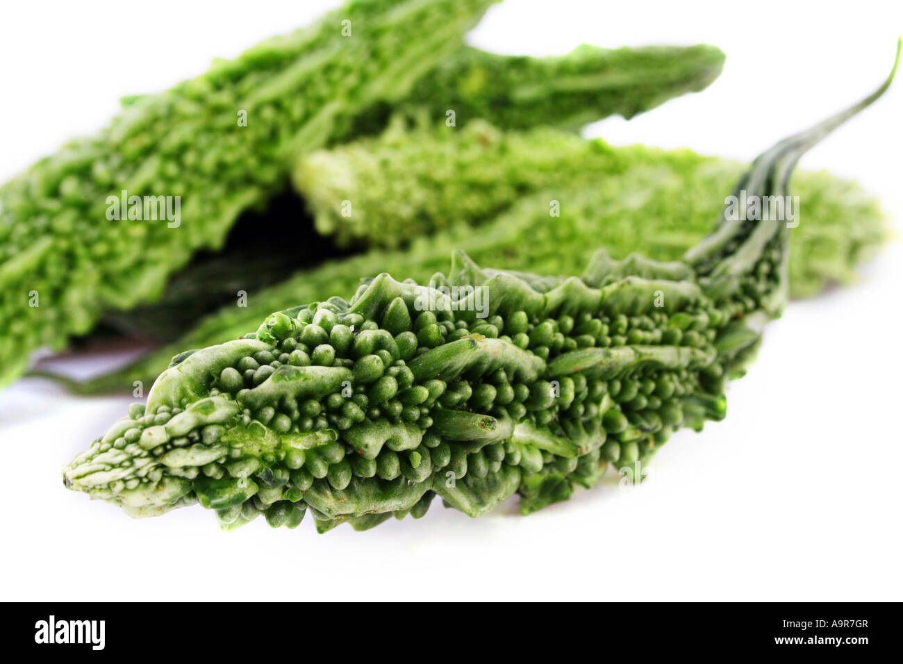 Close up of Bitter gourd Stock Photo - Alamy