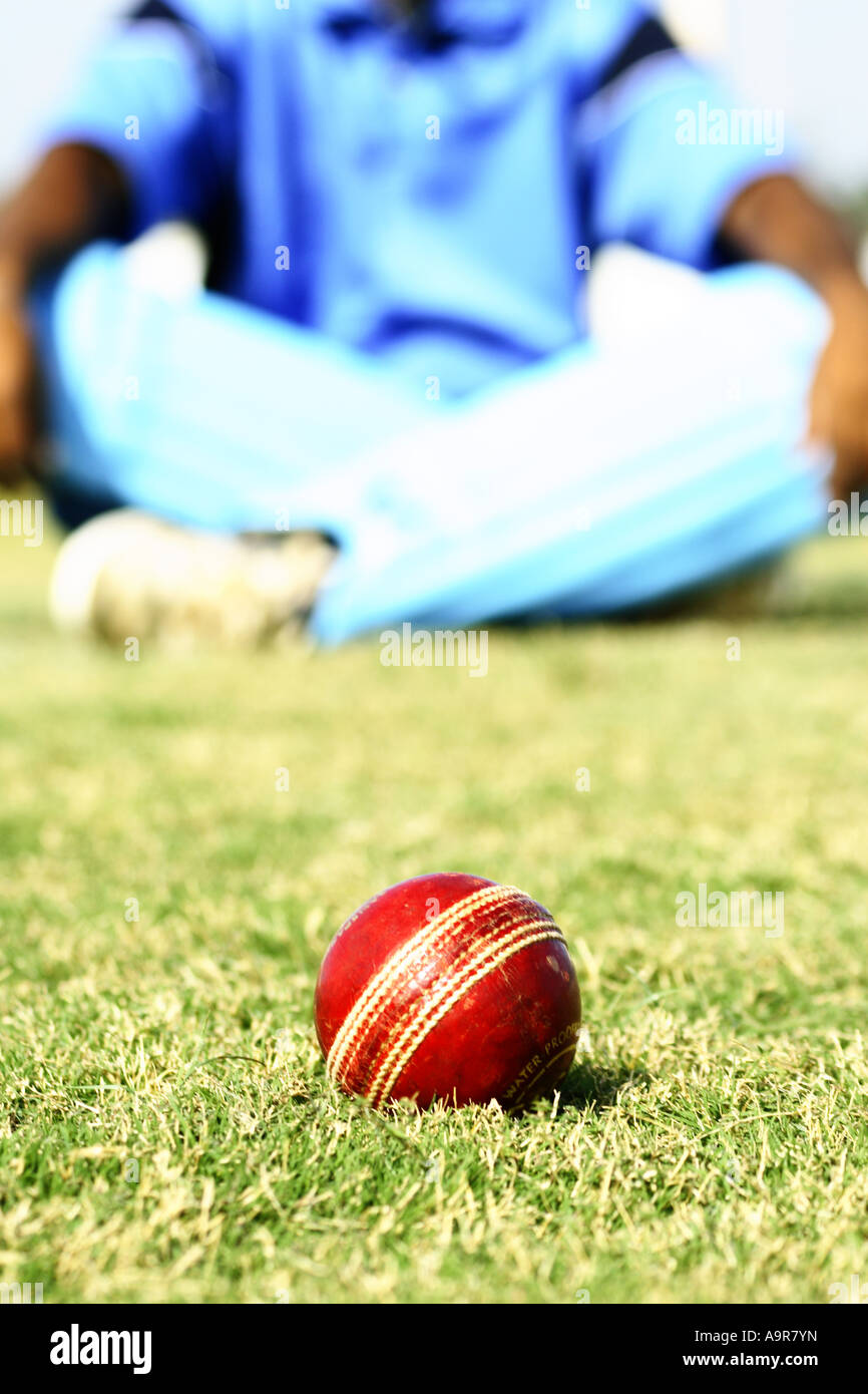 Ball hitting the stumps Stock Photo - Alamy