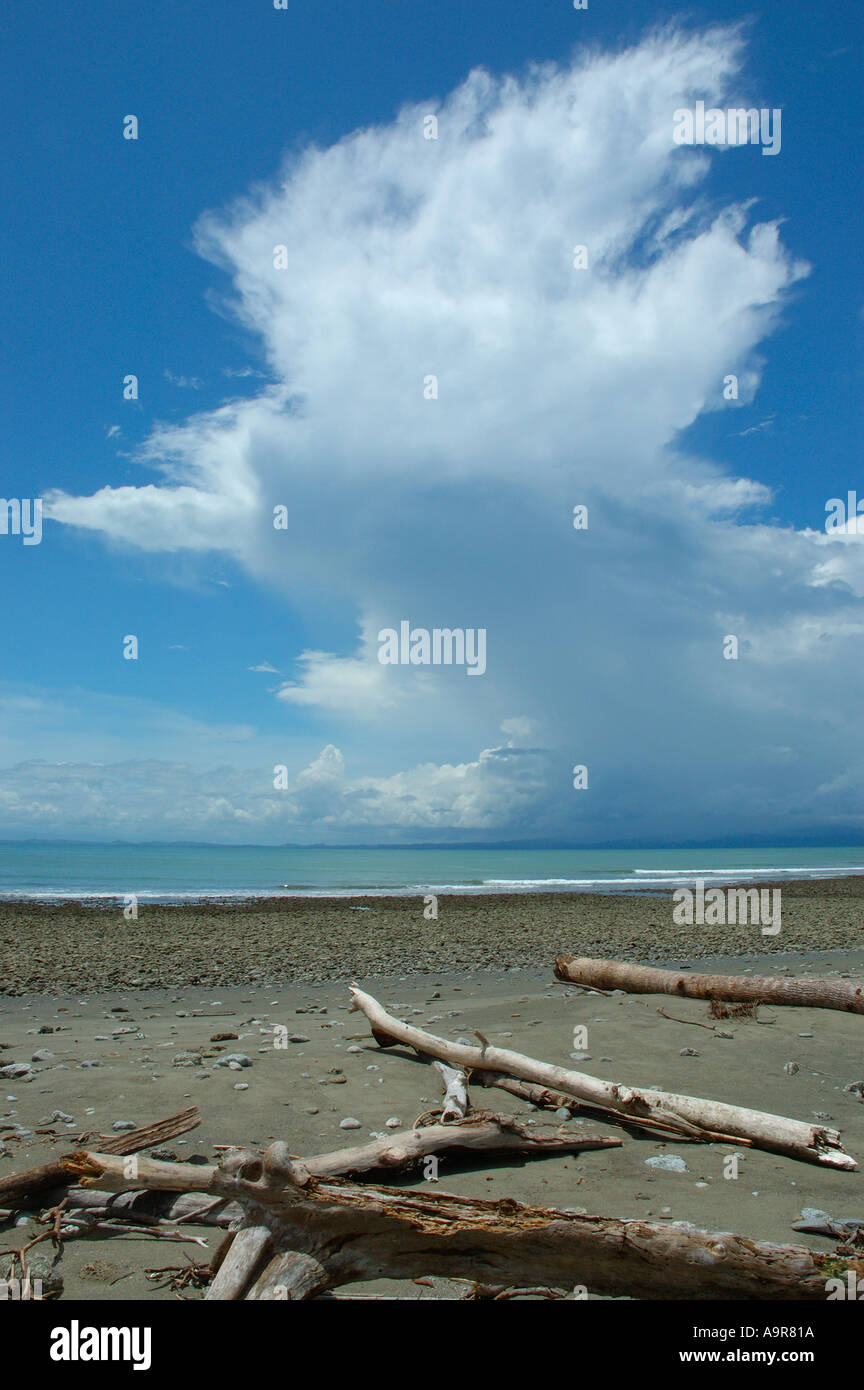 Golfo Dulce Costa Rica Stock Photo - Alamy