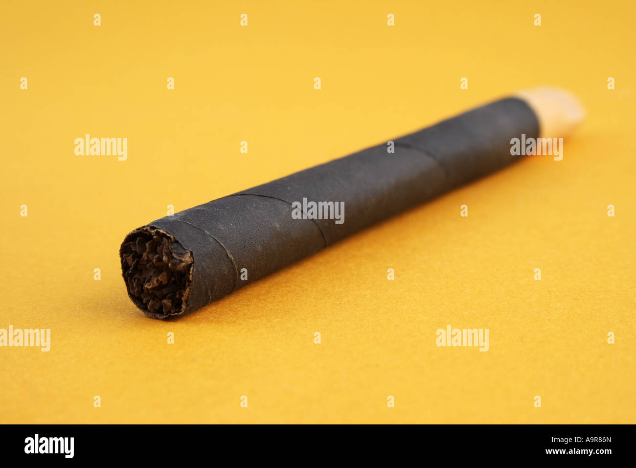 Studio shot of a cigar Stock Photo - Alamy