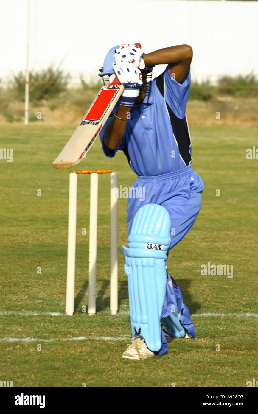 Indian batsman batting Stock Photo - Alamy