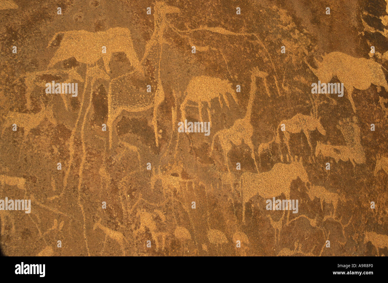 Rock engraving. animal hi-res stock photography and images - Alamy