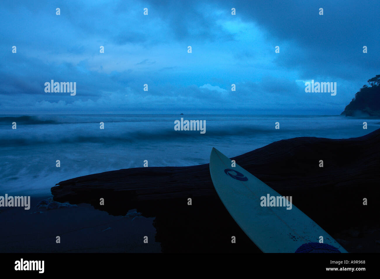 The Crack surf break Matapalo The Osa peninsula Costa Rica Stock Photo ...