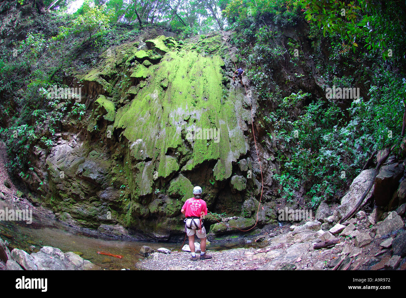 Waterfall repelling tour Cabo Matapalo Costa Rica Stock Photo - Alamy