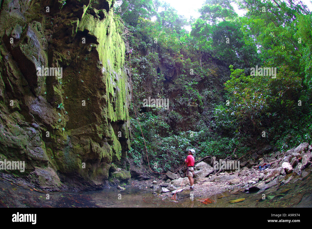 Waterfall repelling tour Cabo Matapalo Costa Rica Stock Photo - Alamy