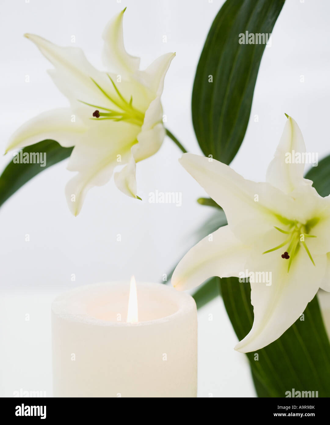Close up of flowers and candle Stock Photo - Alamy