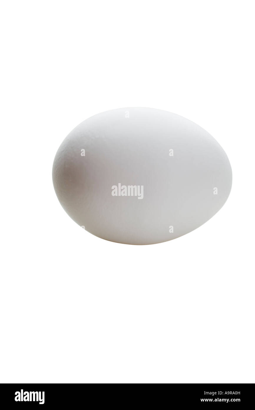 Close up of chicken egg Stock Photo - Alamy