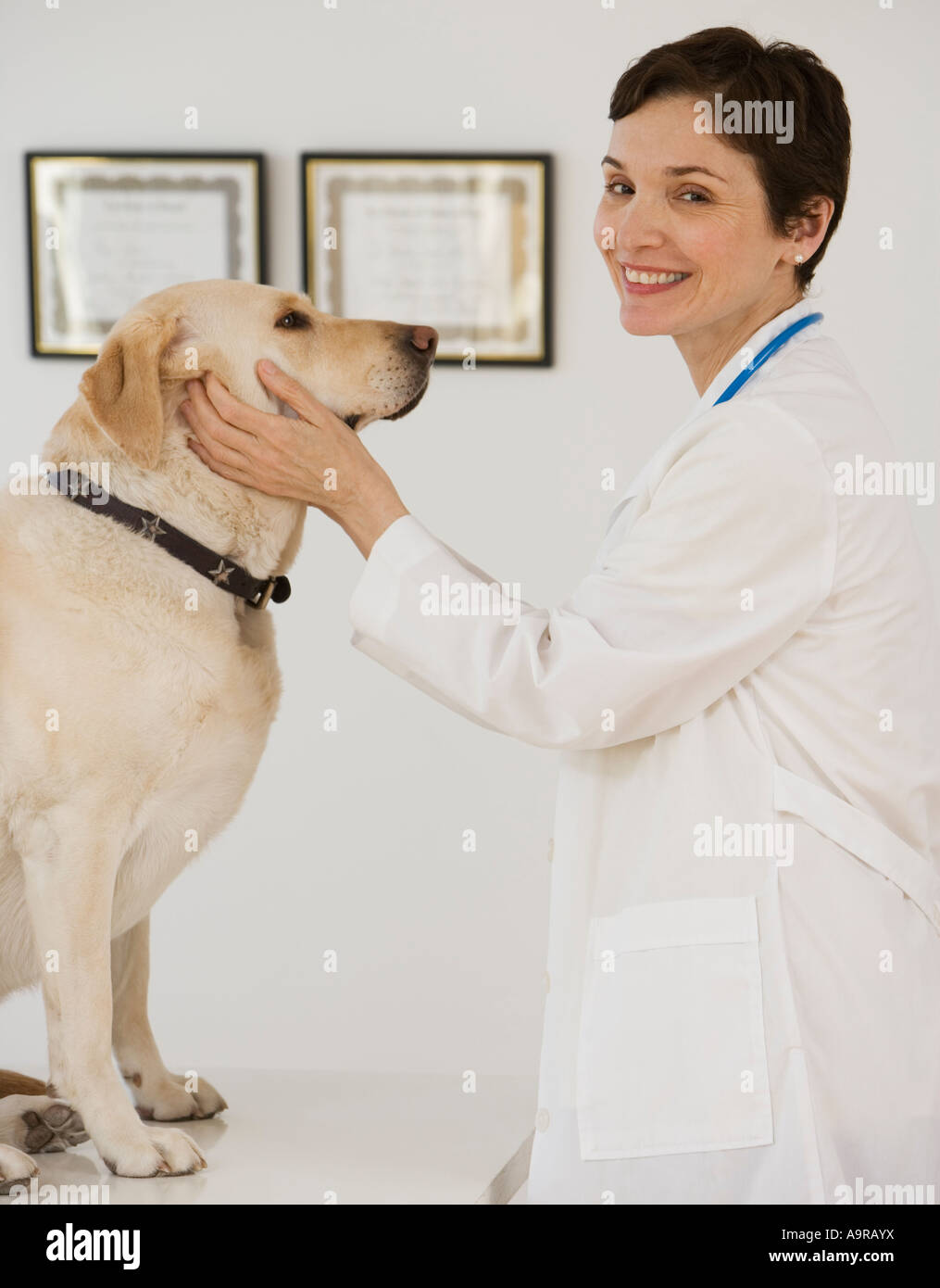 Female dog female doctor hi-res stock photography and images - Alamy