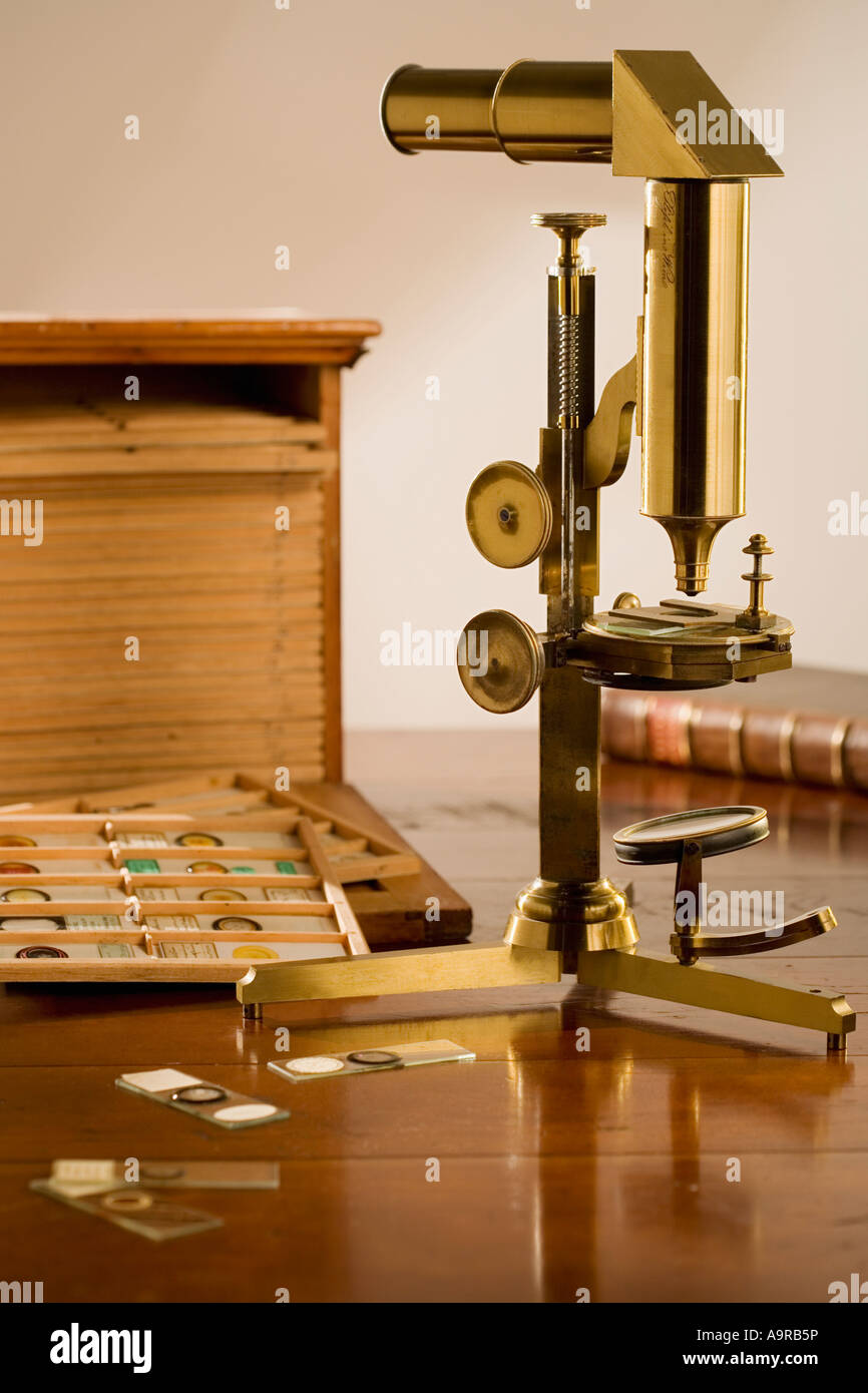 Antique microscope slides hi-res stock photography and images - Alamy