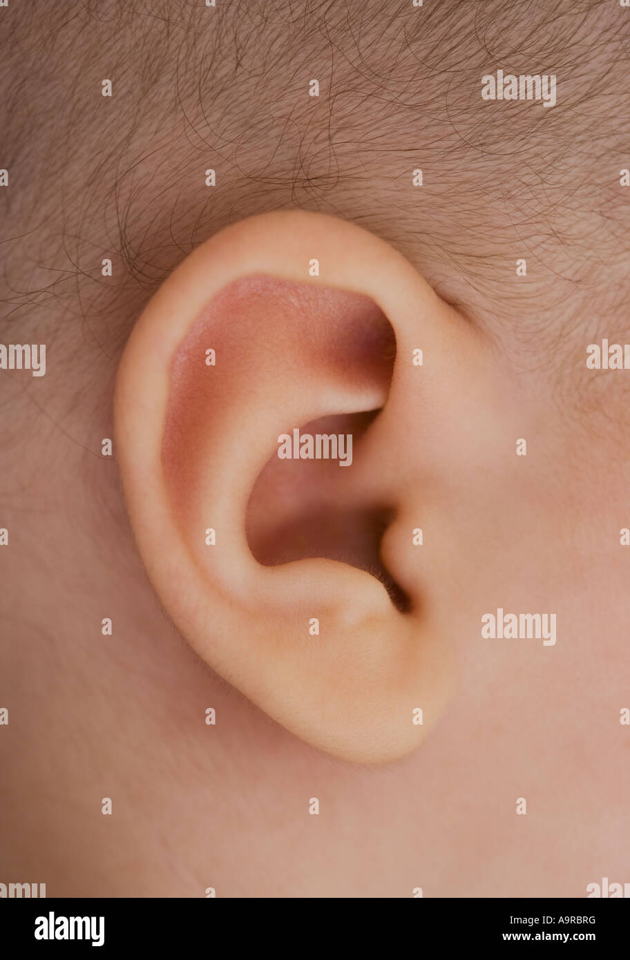 Close up of baby s ear Stock Photo - Alamy