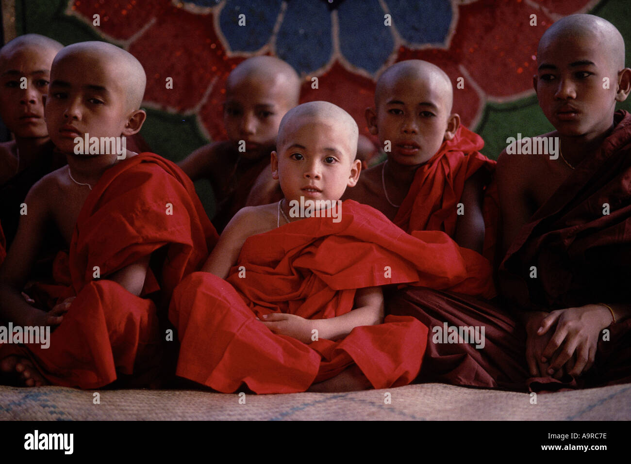 Shin Pyu festival Young Burmese boys with shaven heads are ordinated as ...