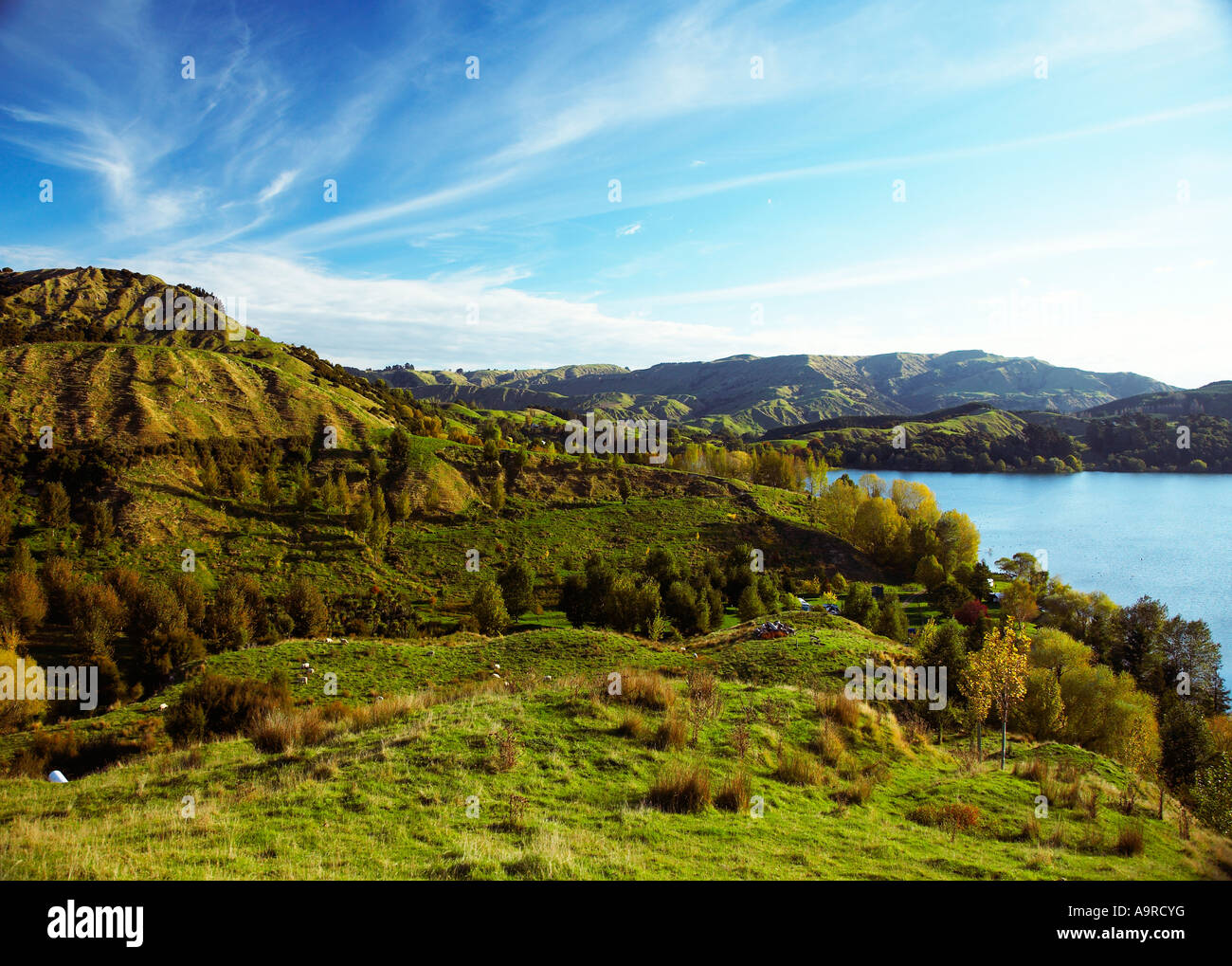 Tutira hi-res stock photography and images - Alamy