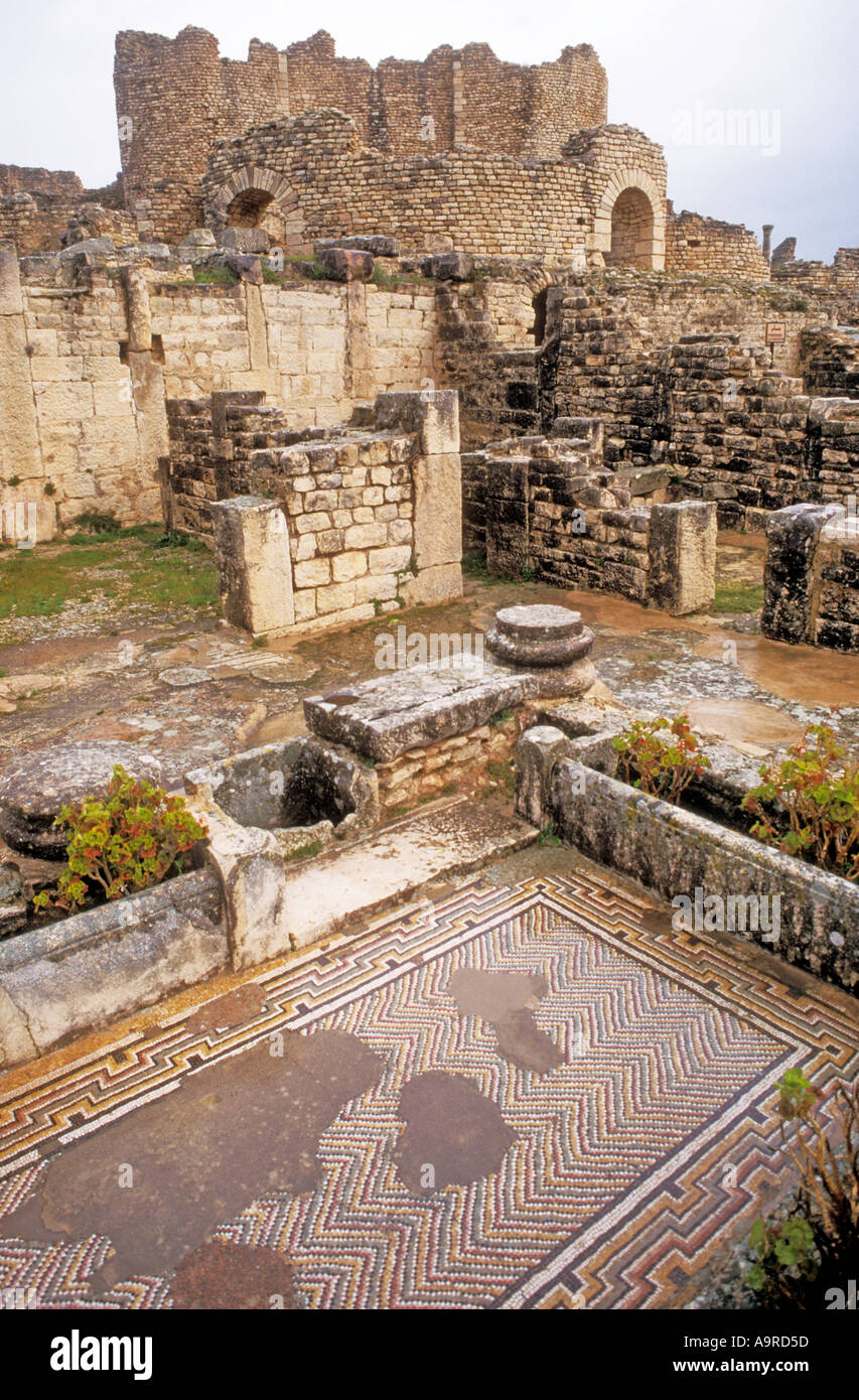 Mosaic floor in the Roman ruins at Dougga Tunisia Stock Photo - Alamy