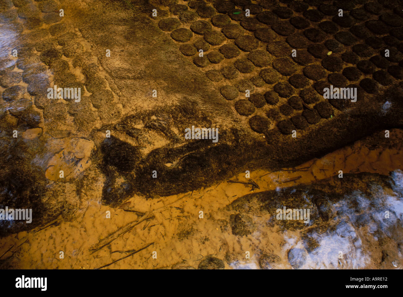 Vishnu god hi-res stock photography and images - Alamy