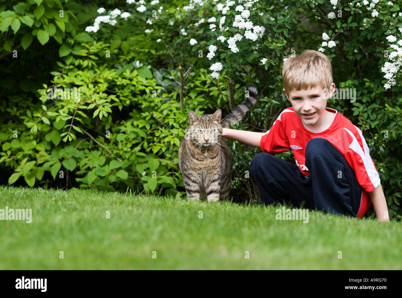 Little boy and his cat Stock Photo - Alamy