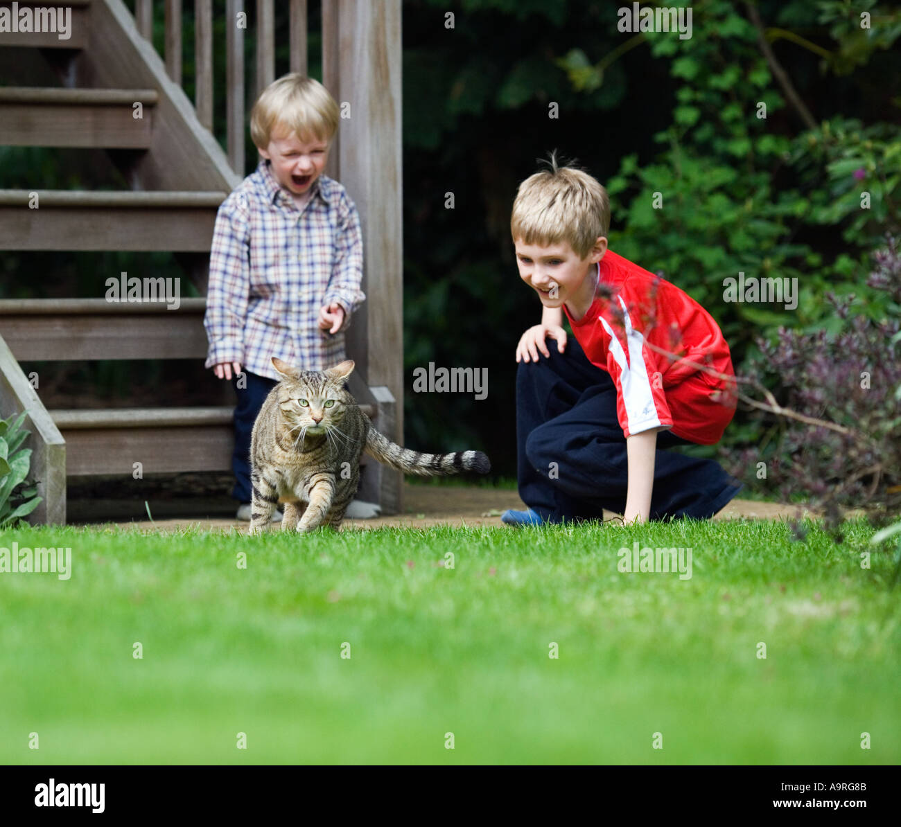 Cat running away from young boys Stock Photo - Alamy