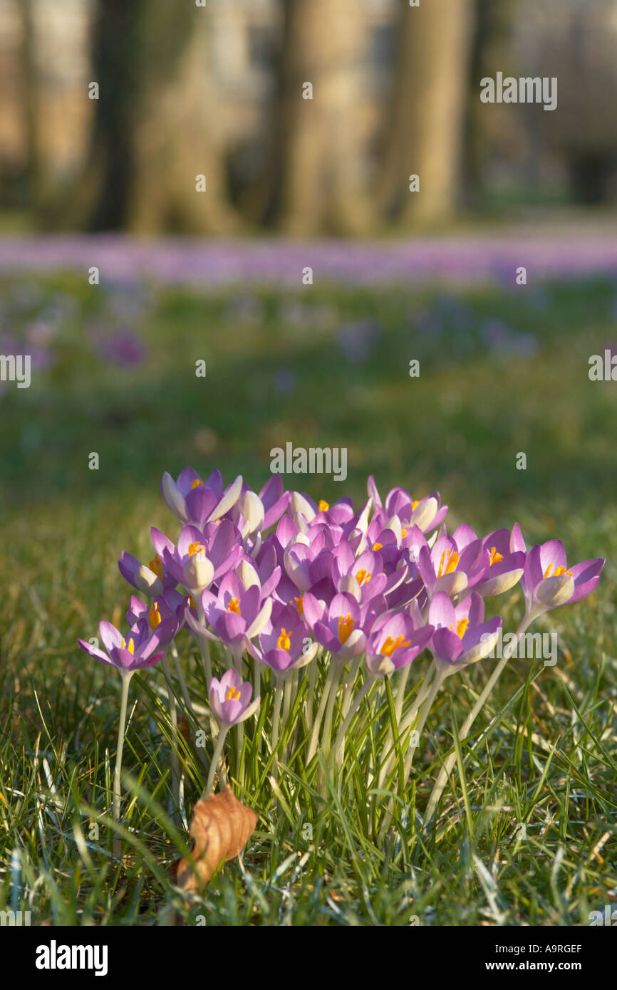 Little trinity cambridge hi-res stock photography and images - Alamy