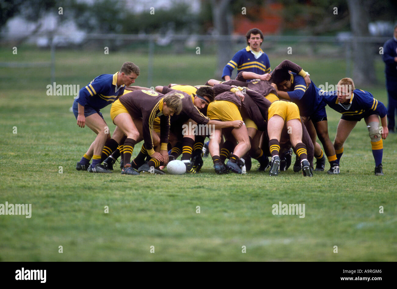 Group of rugby players on field Stock Photo - Alamy