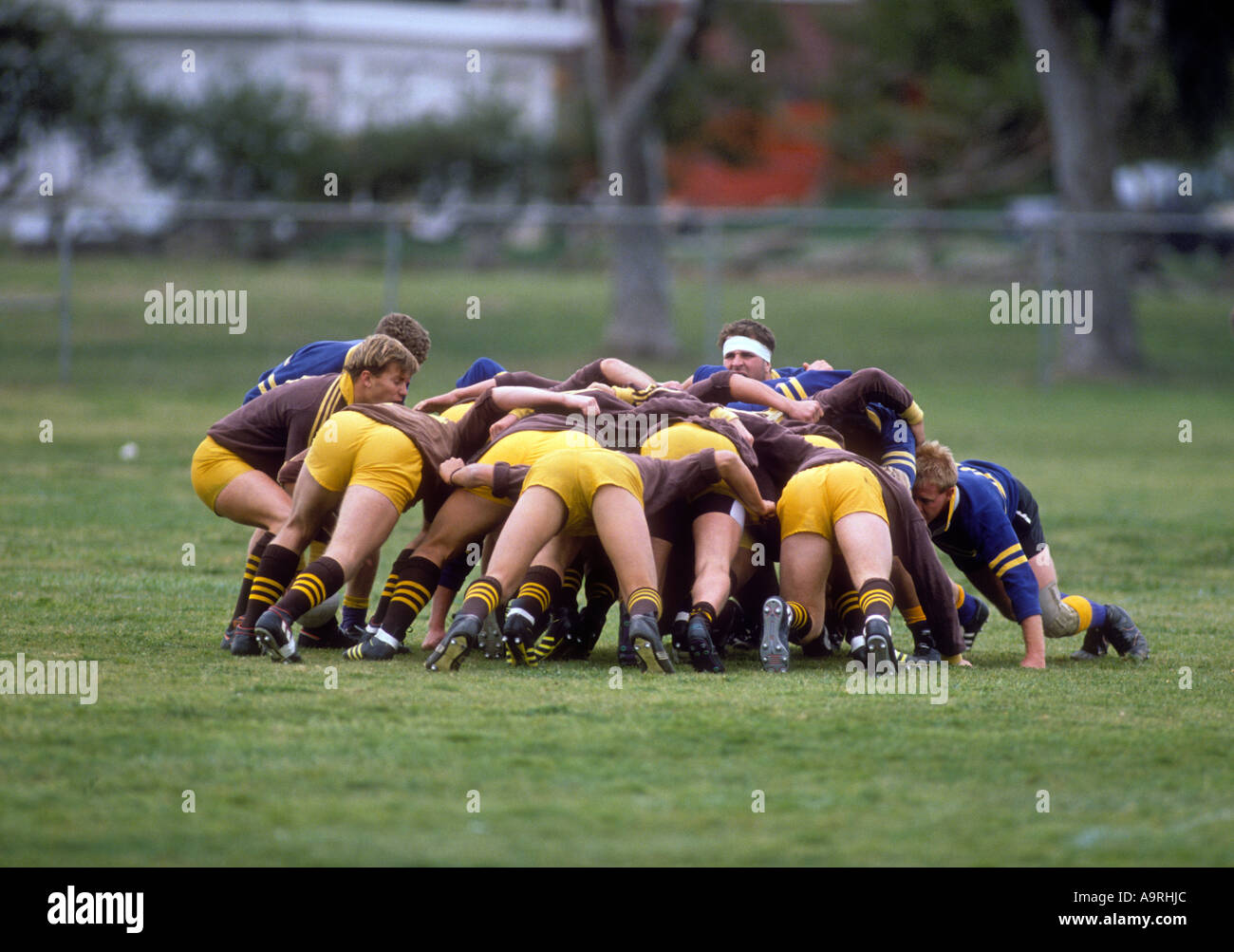 Rugby men players hi-res stock photography and images - Alamy