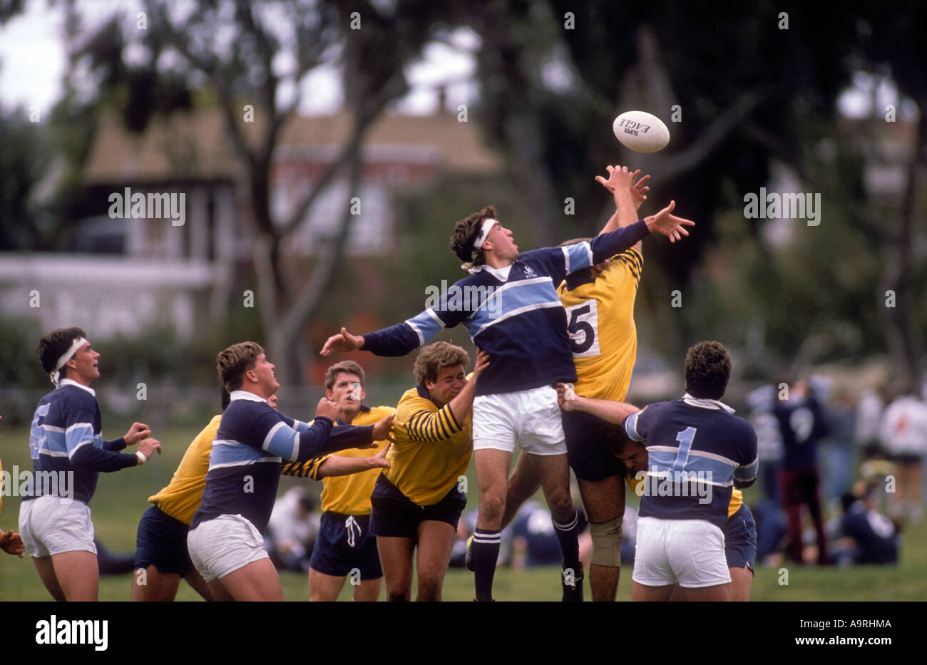 Group of male rugby players in game Stock Photo - Alamy
