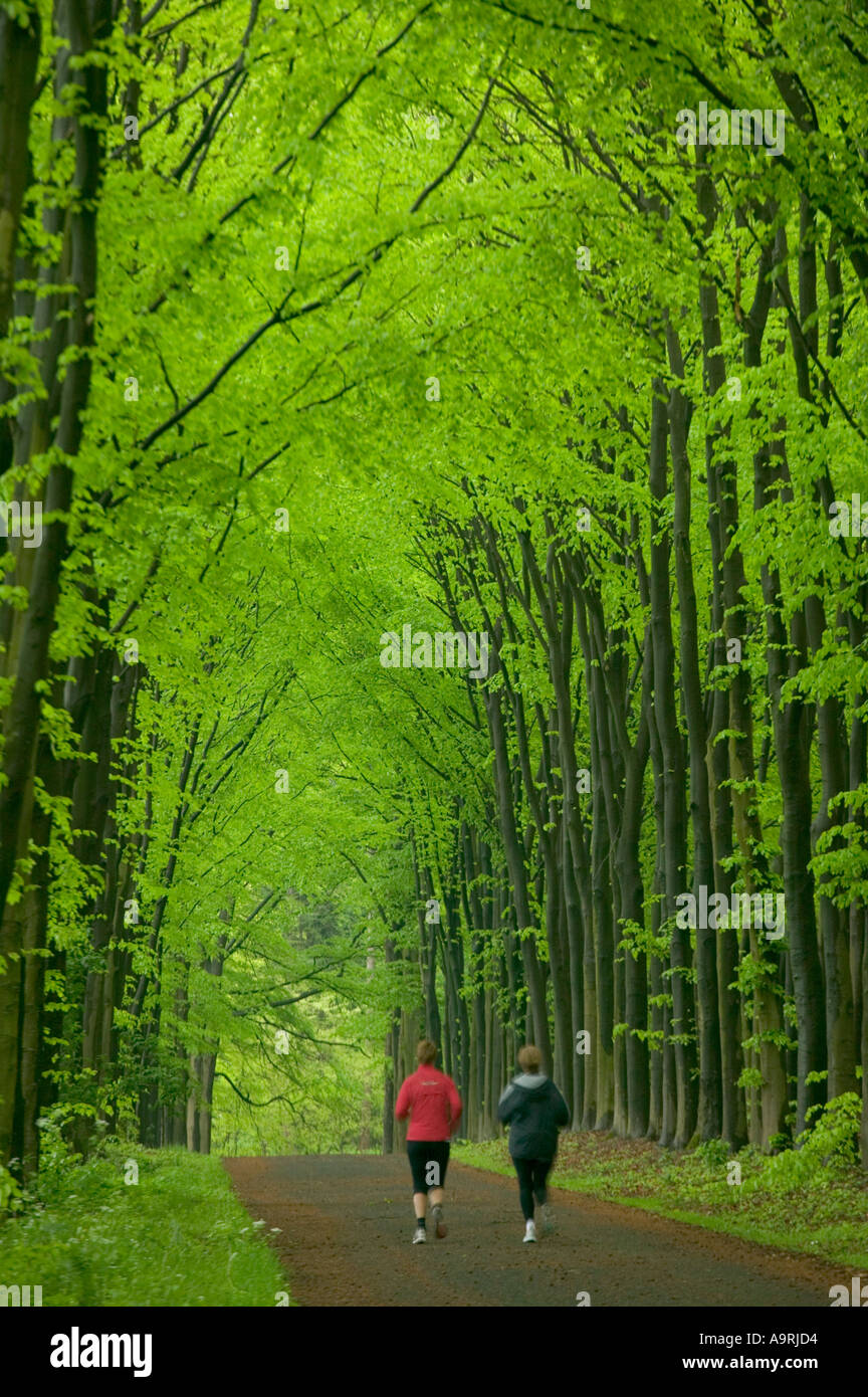 Oosterbeek High Resolution Stock Photography and Images - Alamy