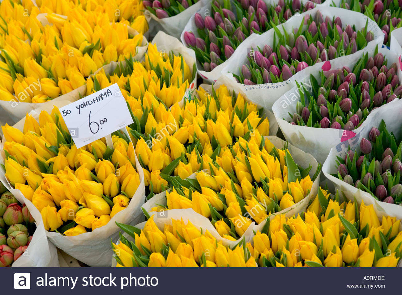 Flower Market Amsterdam High Resolution Stock Photography and Images ...