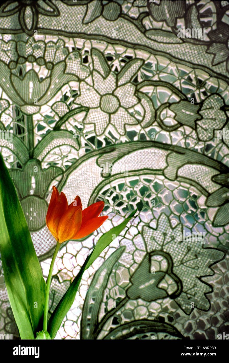 Stylish elegant architectural detail window glass motif reflecting red ...