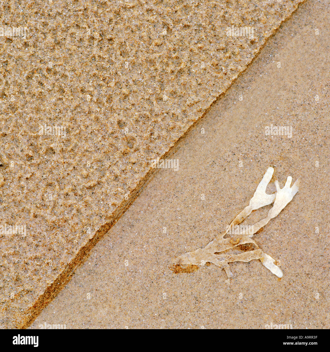 Peaceful compositions hi-res stock photography and images - Alamy