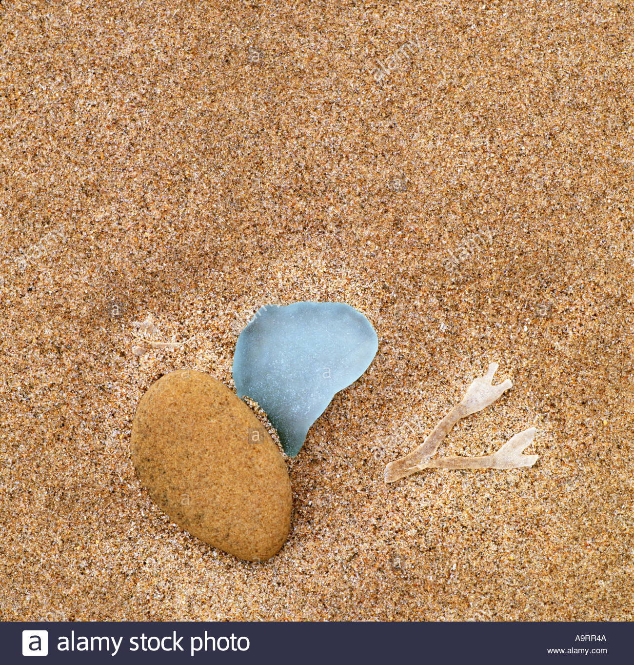 Wind blown sands cover rocks and pebbles but also create visually ...