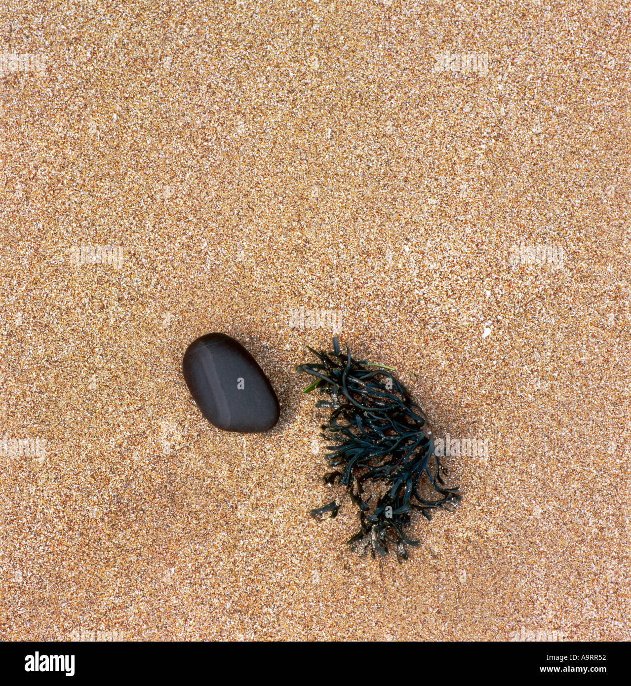 Cover blown hi-res stock photography and images - Alamy