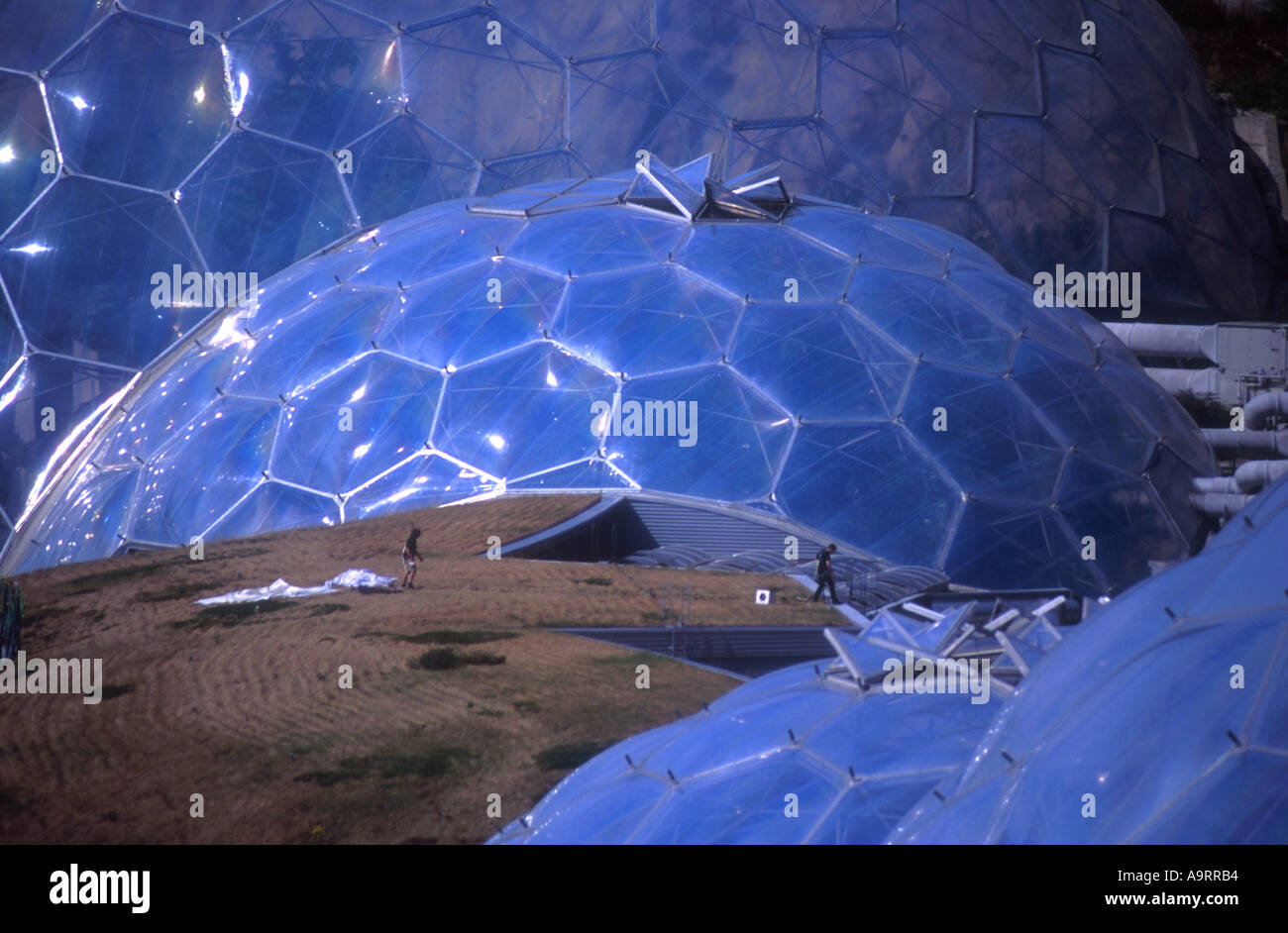 Visiting the eden project hi-res stock photography and images - Alamy