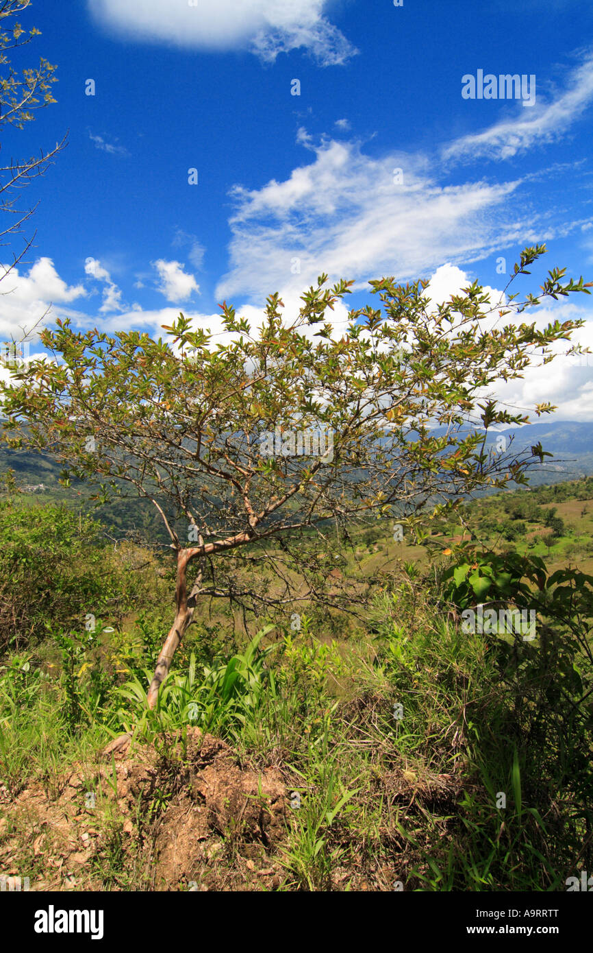 Landscape. Tenza Valley, Boyacá, Colombia, South America Stock Photo ...