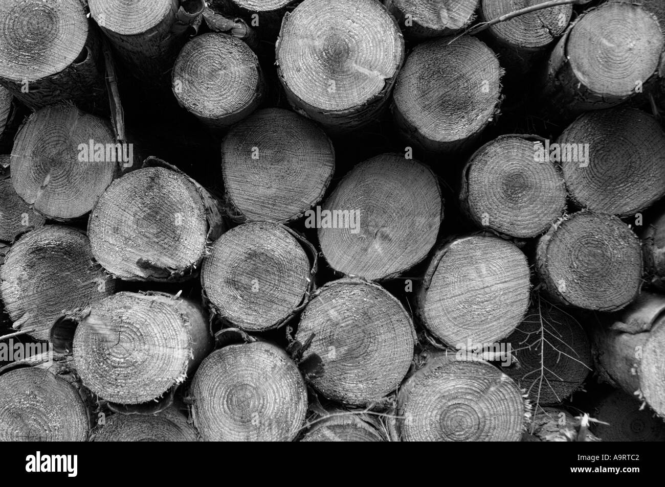 Log building material Black and White Stock Photos & Images - Alamy