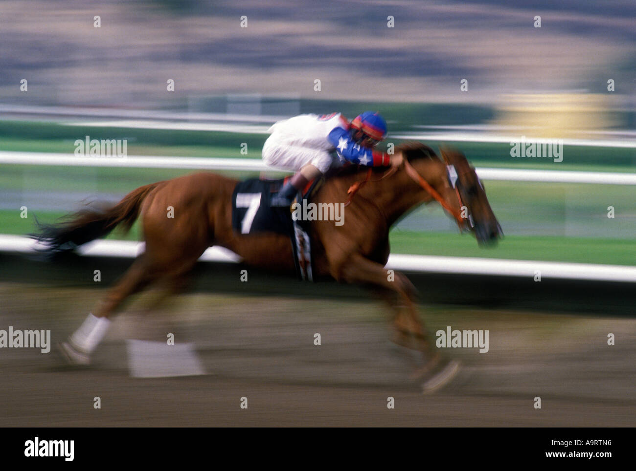 Thoroughbred race horse with jockey hi-res stock photography and images ...