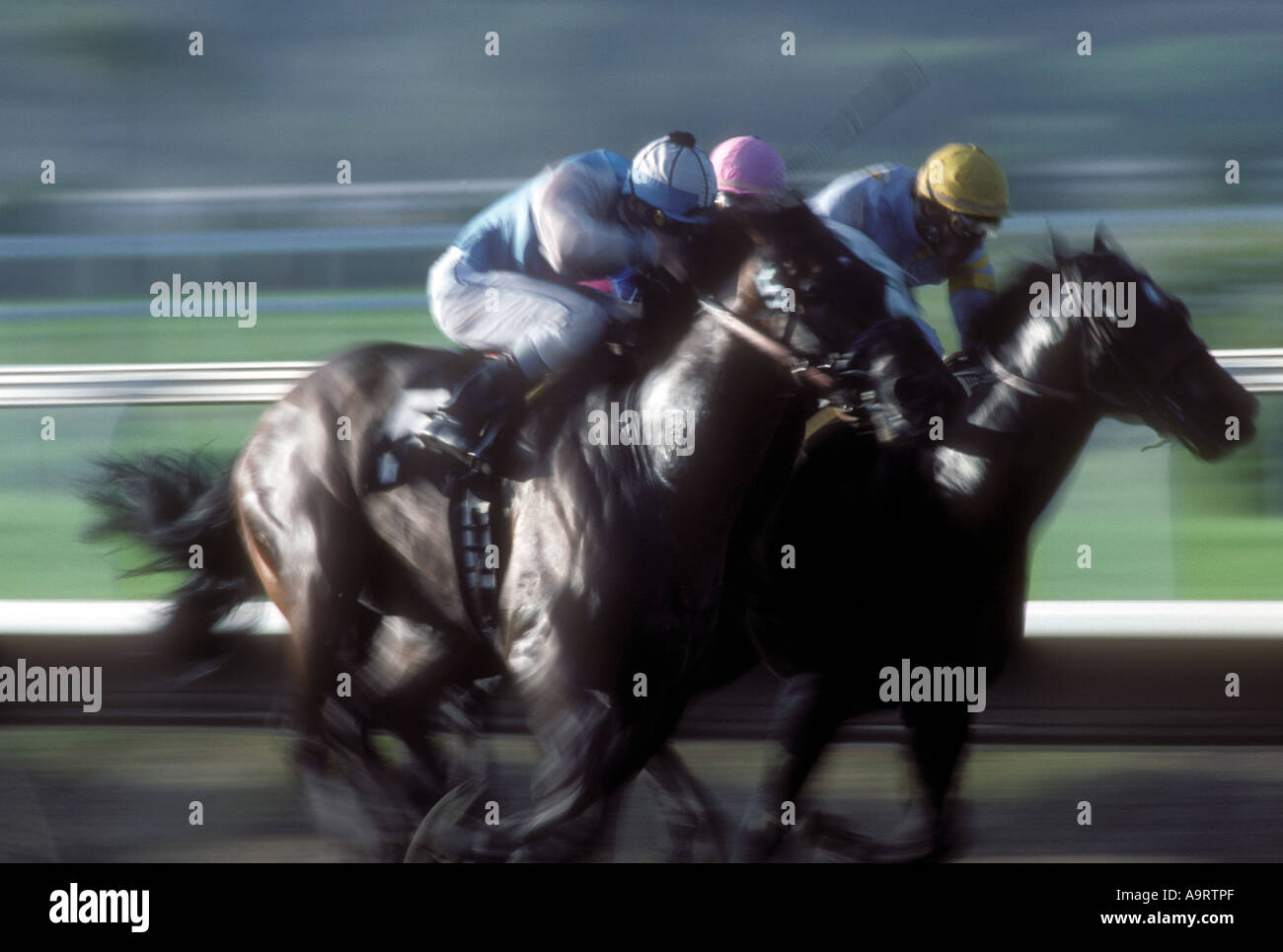 Three race horses with jockeys on track Stock Photo - Alamy