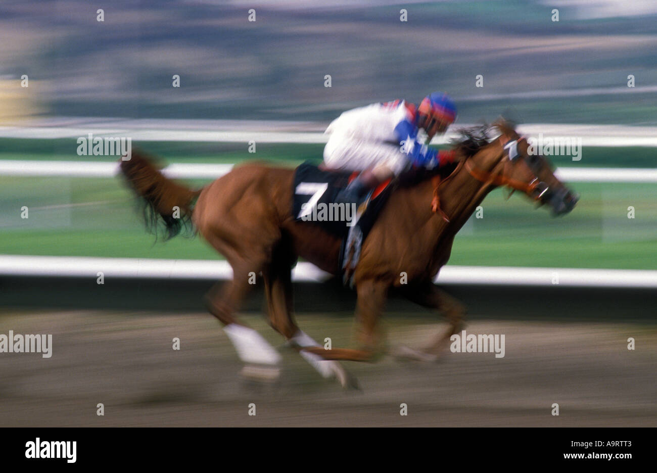 Race horse with jockey on track Stock Photo - Alamy
