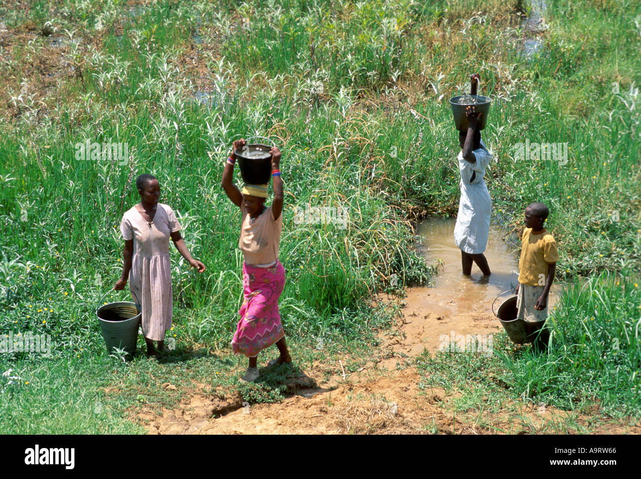 Women collecting water from an unsafe water source. Zimbabwe Stock ...