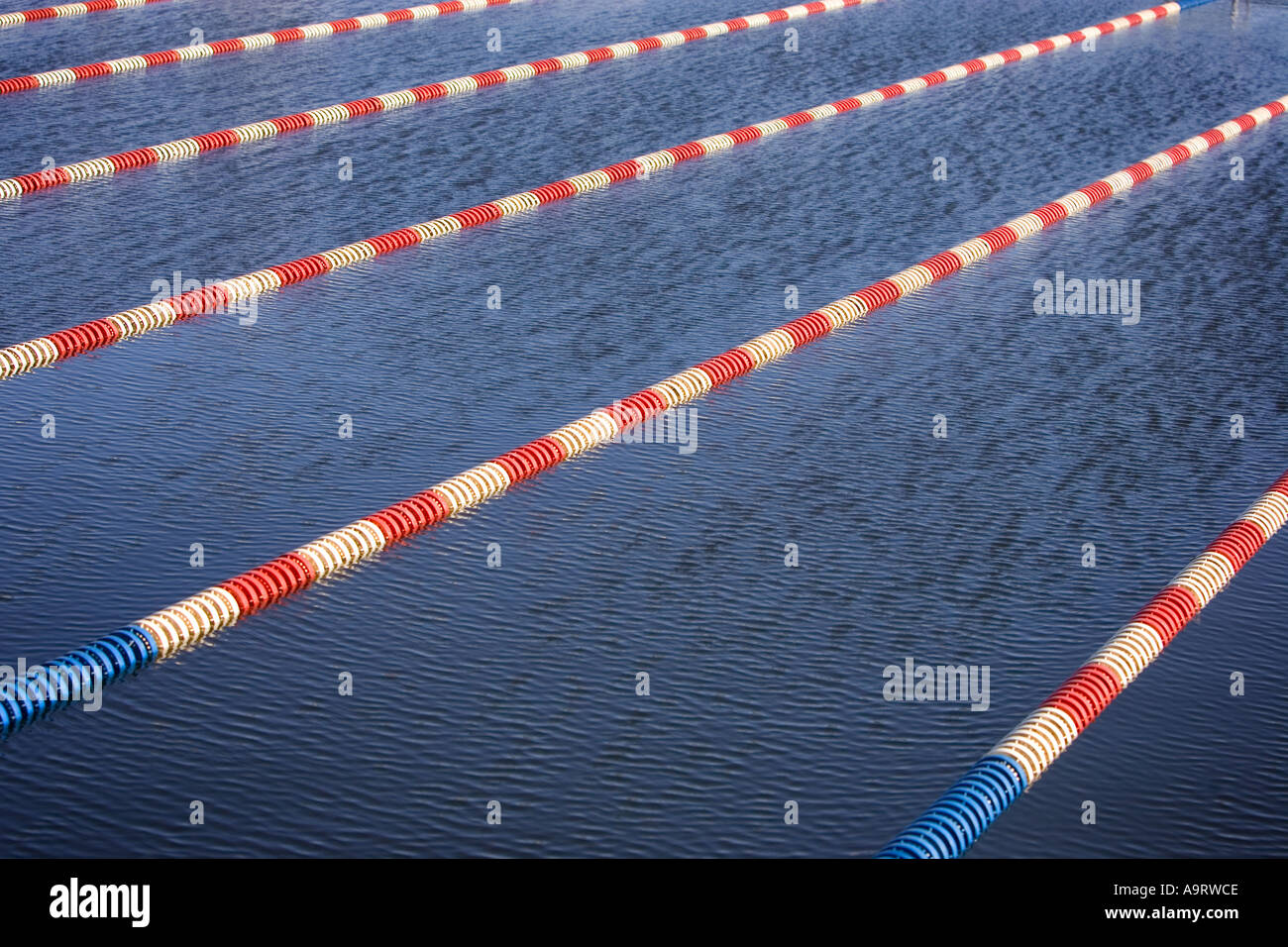 Lanes markers in a swimming pool Stock Photo - Alamy