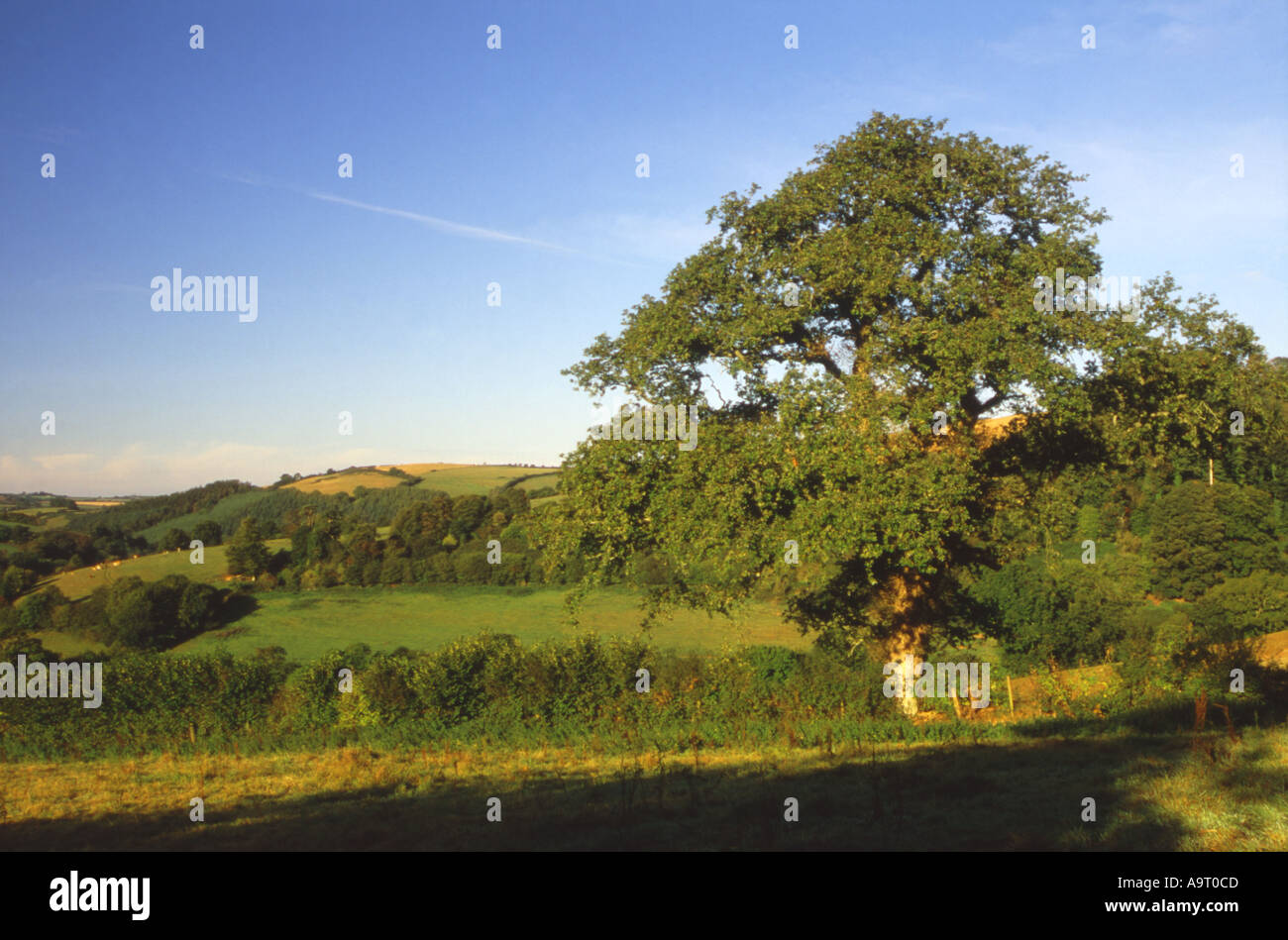 Tuckenhay hi-res stock photography and images - Alamy
