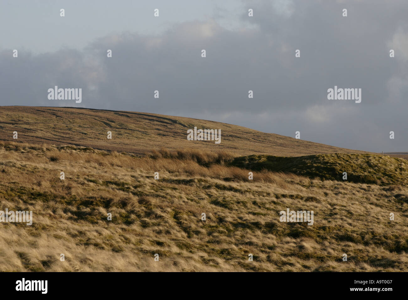 Knoutberry Hill in the North Pennines, England Stock Photo - Alamy