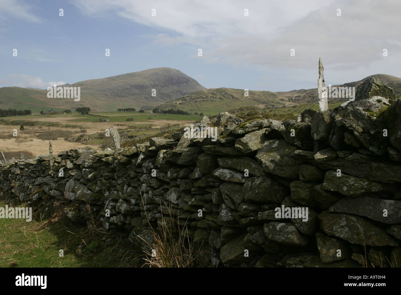Moel Hebog from Foel yr Erw in Snowdonia, Wales Stock Photo - Alamy