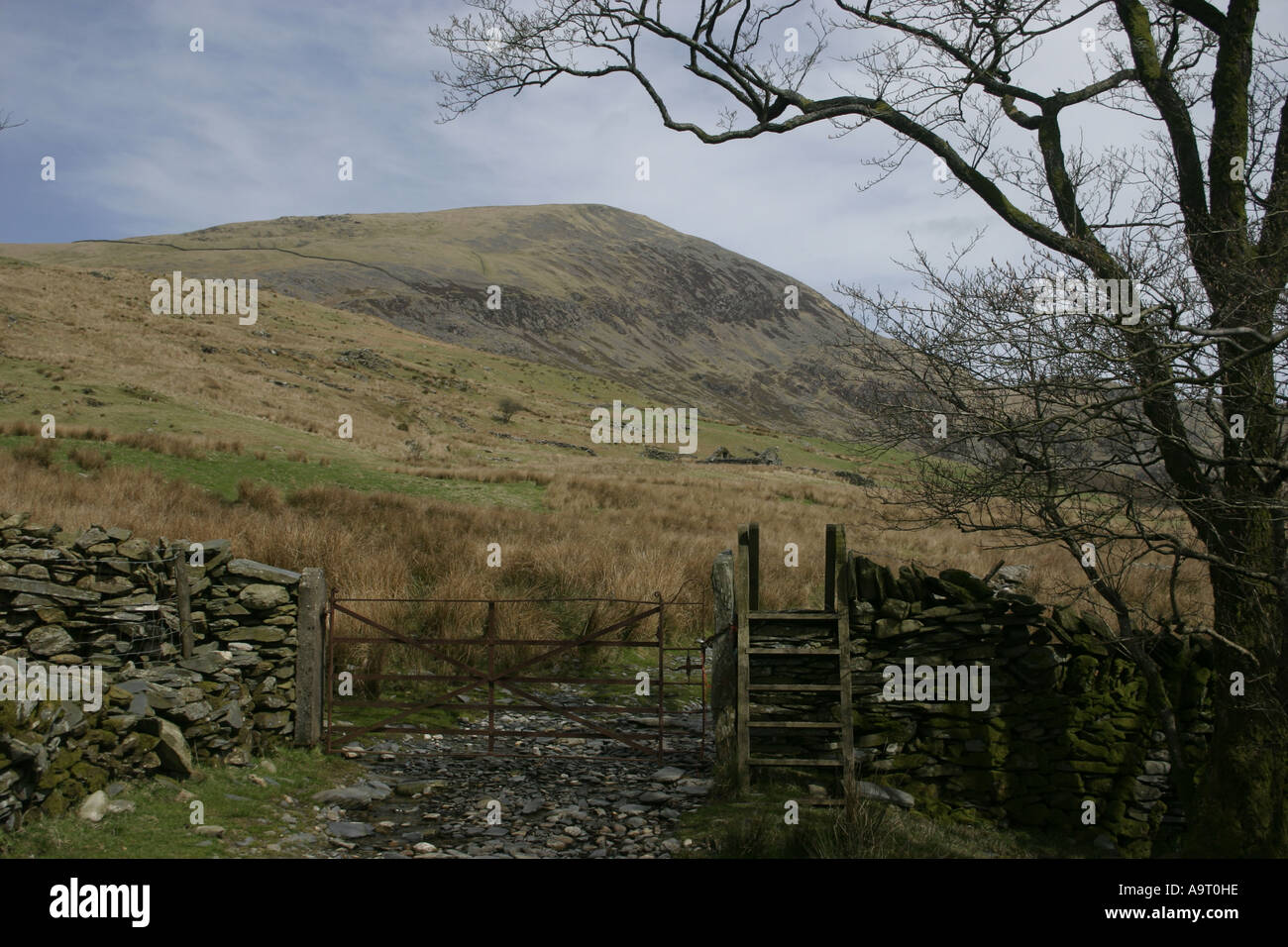 Moel Hebog from the south-west in Snowdonia, Wales Stock Photo - Alamy