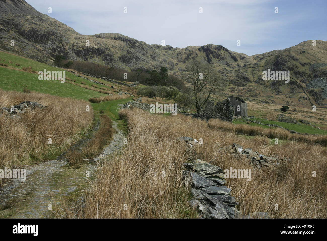 Moel y llyn hi-res stock photography and images - Alamy